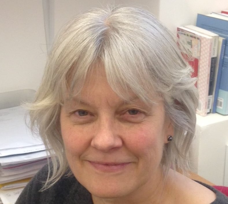 14c Nicola Macbean The Rights Practice – China Development Brief