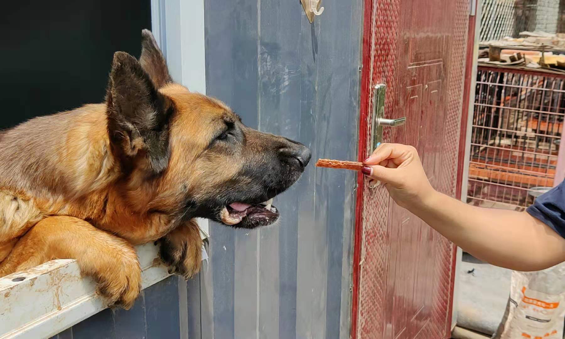 Features – China Development Brief