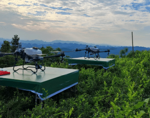 The Han Hong Foundation: how a Celebrity Stepped Up Against Covid-19 ...