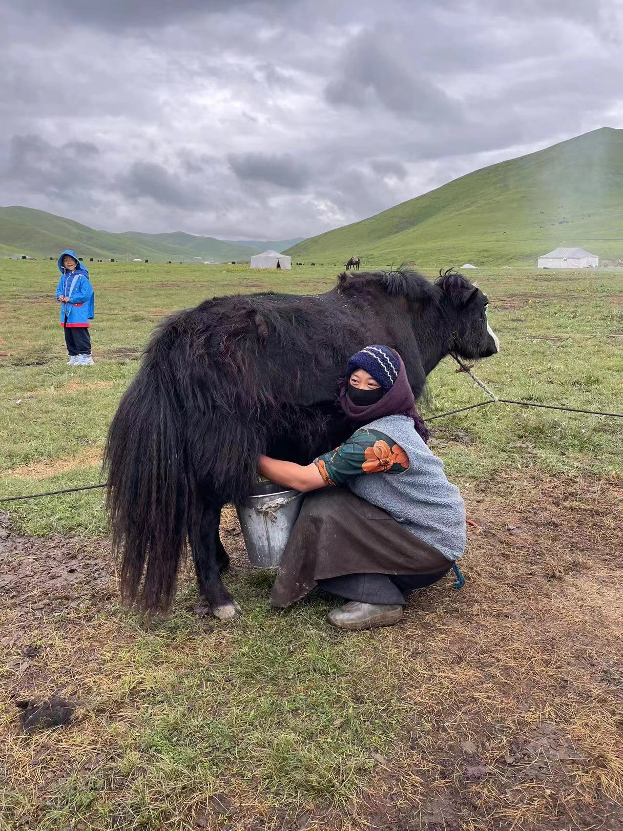 Using solar panels and SDGs to protect nomadic culture—it’s not what you’d expect! – China ...