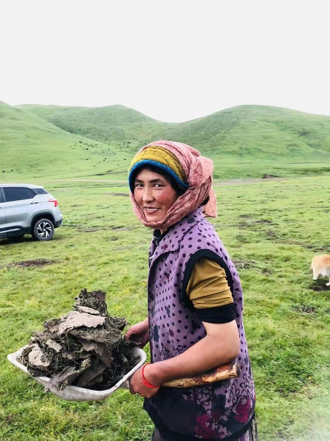 Using solar panels and SDGs to protect nomadic culture—it’s not what you’d expect! – China ...